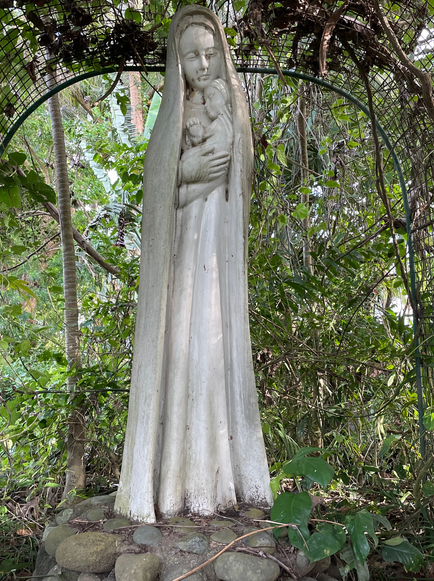 mary – The Forest Club